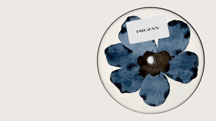 Pruzan Official Website